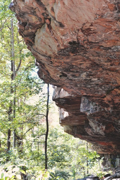 Yellow Bluff Trail | Cosmopolitan Cornbread