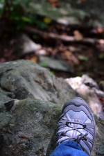 Yellow Bluff Trail | Cosmopolitan Cornbread