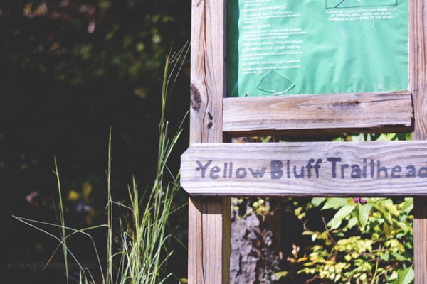 Yellow Bluff Trail | Cosmopolitan Cornbread