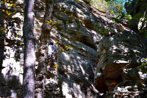 Yellow Bluff Trail | Cosmopolitan Cornbread