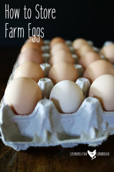 How to Store Farm Eggs | Cosmopolitan Cornbread