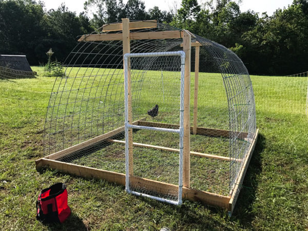 How to Make a Cattle Panel Structure | Cosmopolitan Cornbread