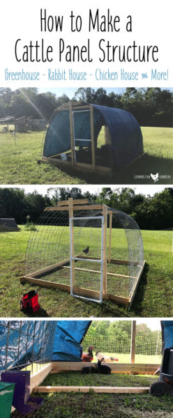 How to Make a Cattle Panel Structure | Cosmopolitan Cornbread