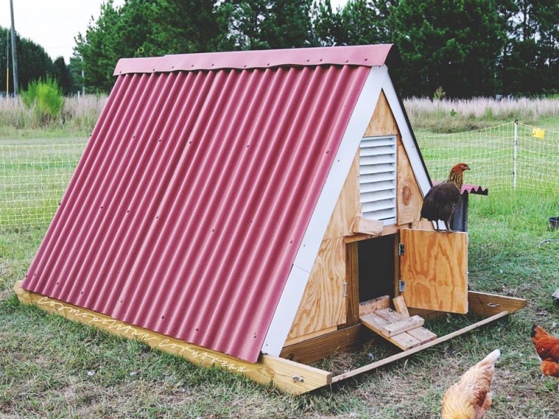 How to Build an A-Frame Chicken Coop | Movable "Chicken Sled ...