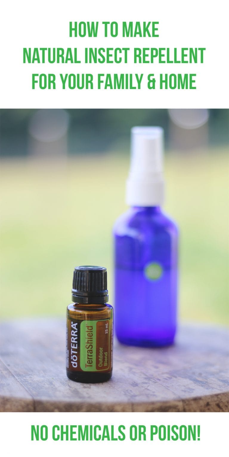 How to Make Natural Insect Repellent | Cosmopolitan Cornbread