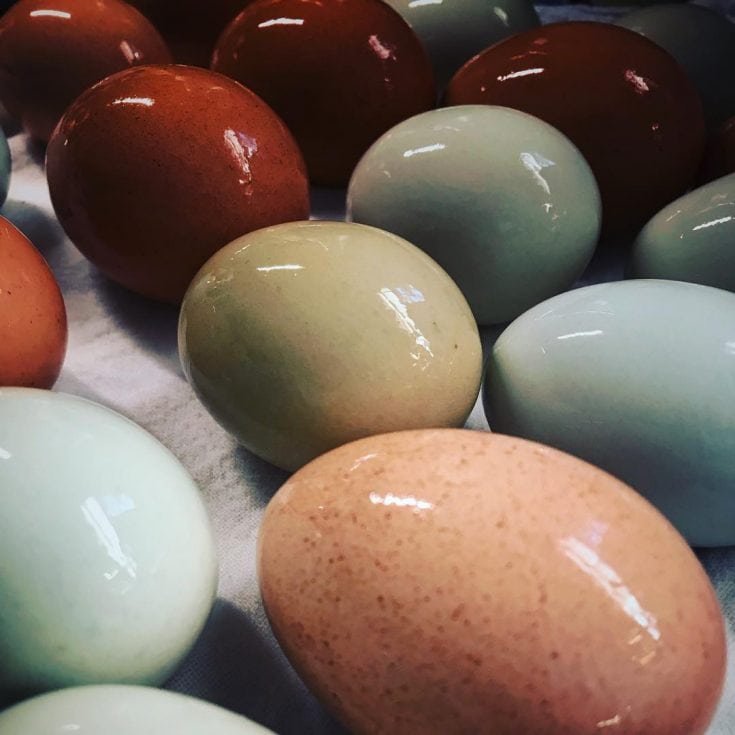 A Guide to Chicken Egg Colors | Cosmopolitan Cornbread