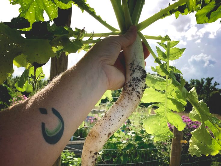 How to Roast Radishes | Cosmopolitan Cornbread