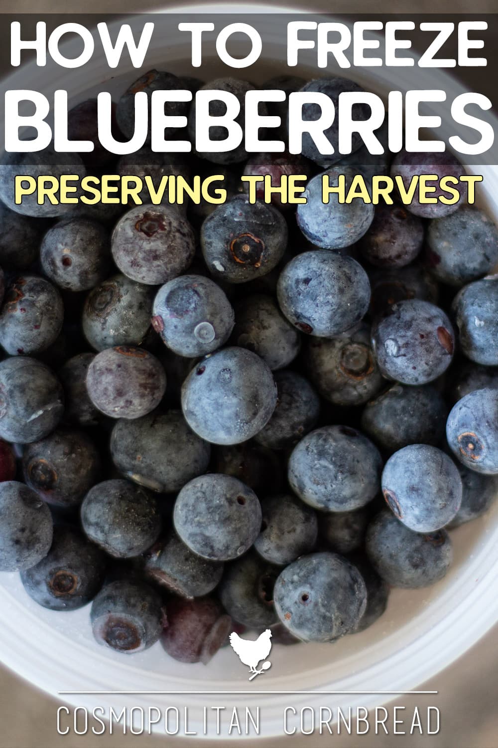 How to Freeze Blueberries | I Wish I Had Grandma's Kitchen ...