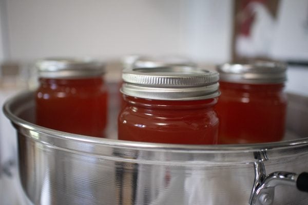 How to Make Watermelon Jelly (With Cooking Video) | Cosmopolitan Cornbread
