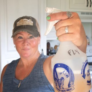 How to Make DIY Fly Spray - A Good Life Farm