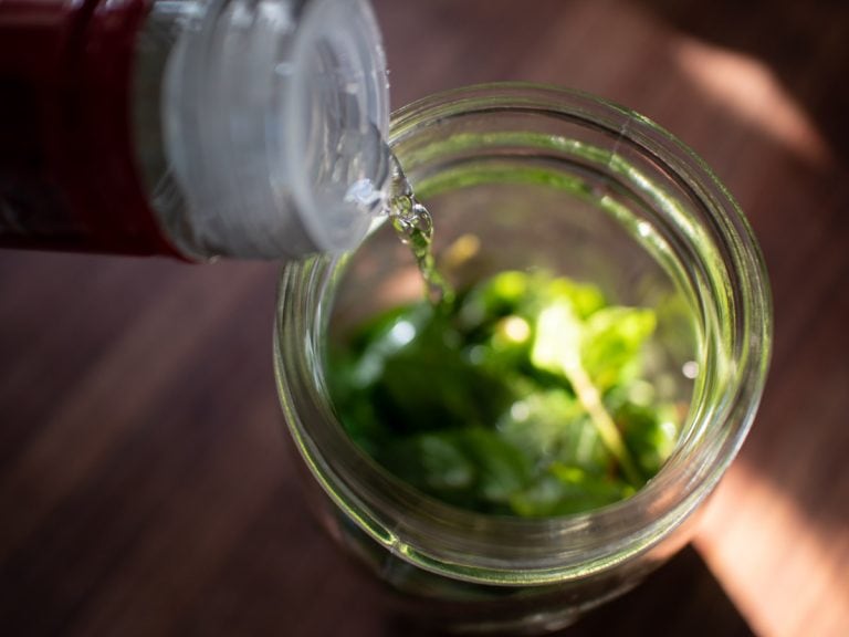 DIY Mint Extract Recipe (with Recipe Video) | Cosmopolitan Cornbread