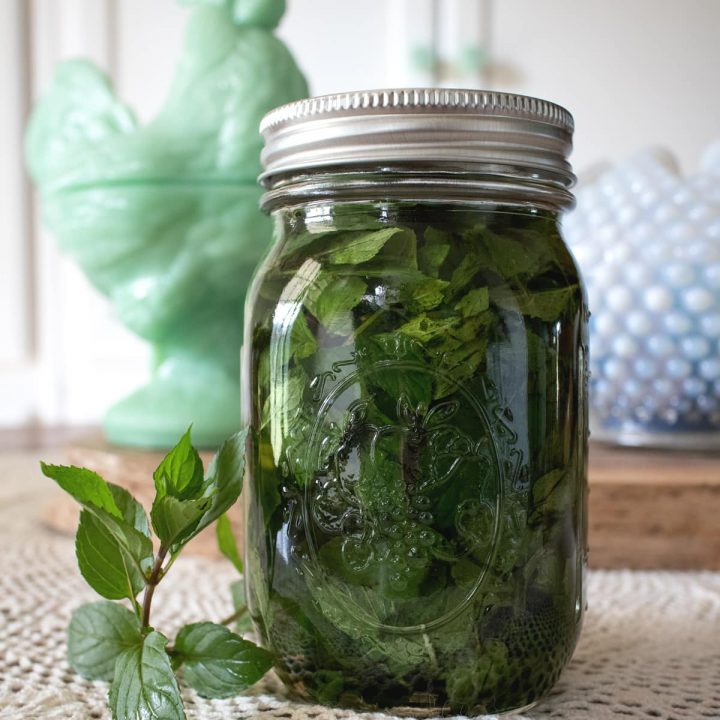 DIY Mint Extract Recipe (with Recipe Video) | Cosmopolitan Cornbread