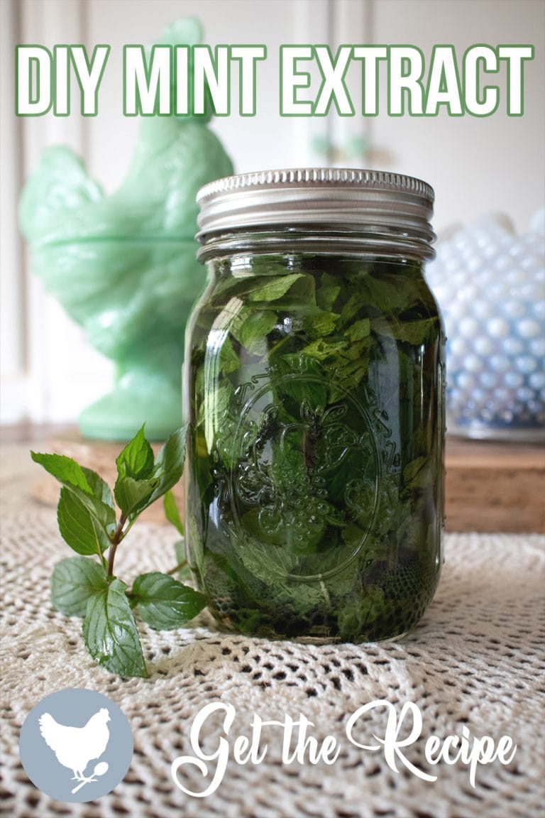 DIY Mint Extract Recipe (with Recipe Video) | Cosmopolitan Cornbread