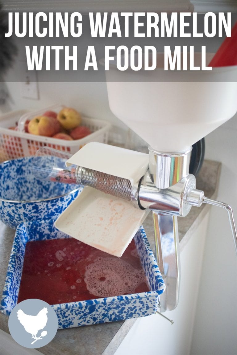Juicing a Watermelon | Using a Food Mill | Cosmopolitan Cornbread