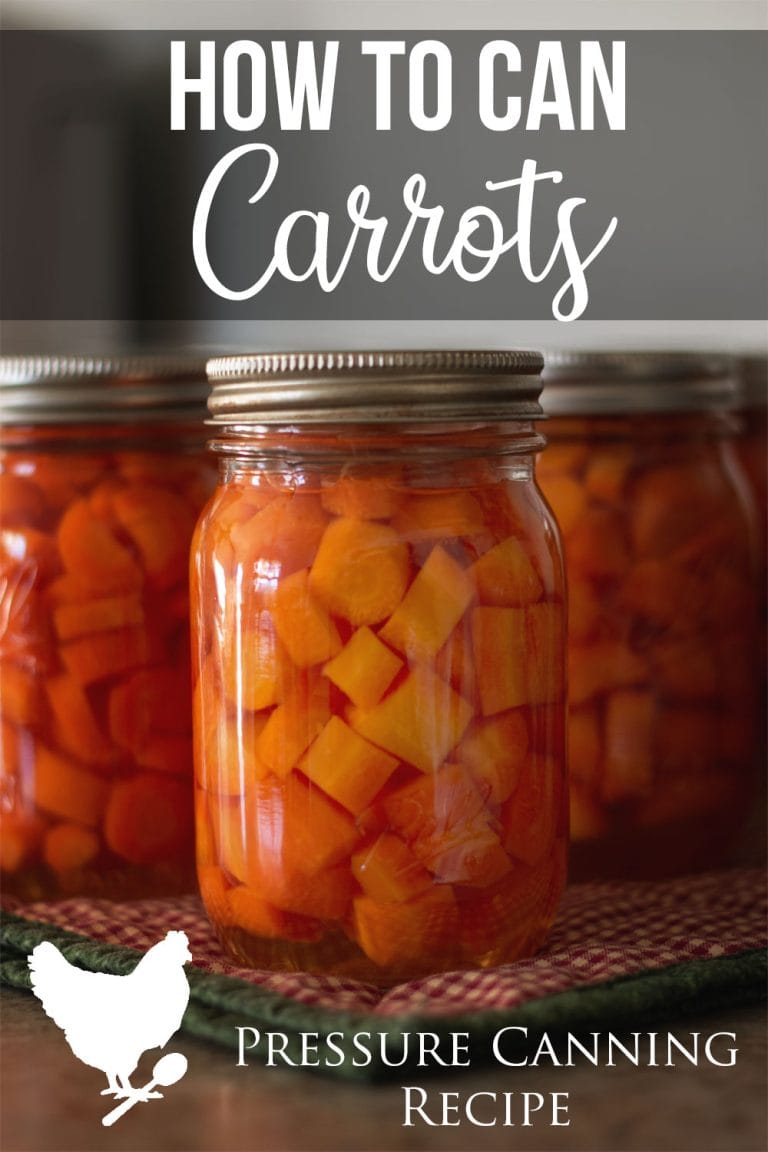 How to Can Carrots (with Canning video) | Cosmopolitan Cornbread