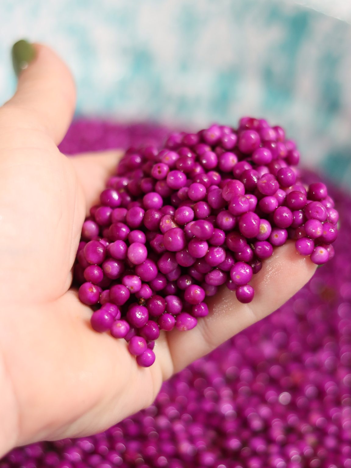 Beautyberry Jelly - Foraging and Canning (with Canning Video ...